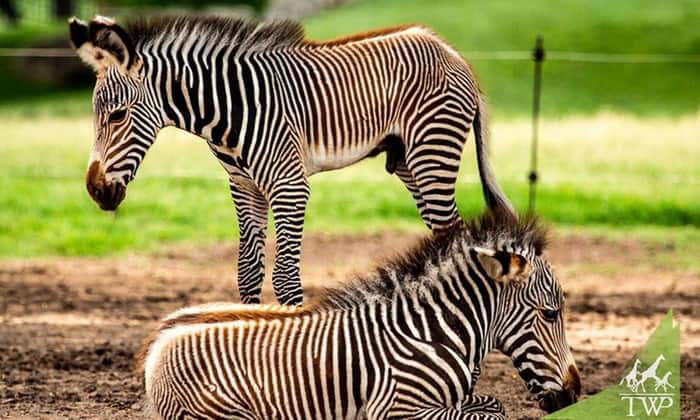 24 weekend getaways, road trips & day trips from Kansas City