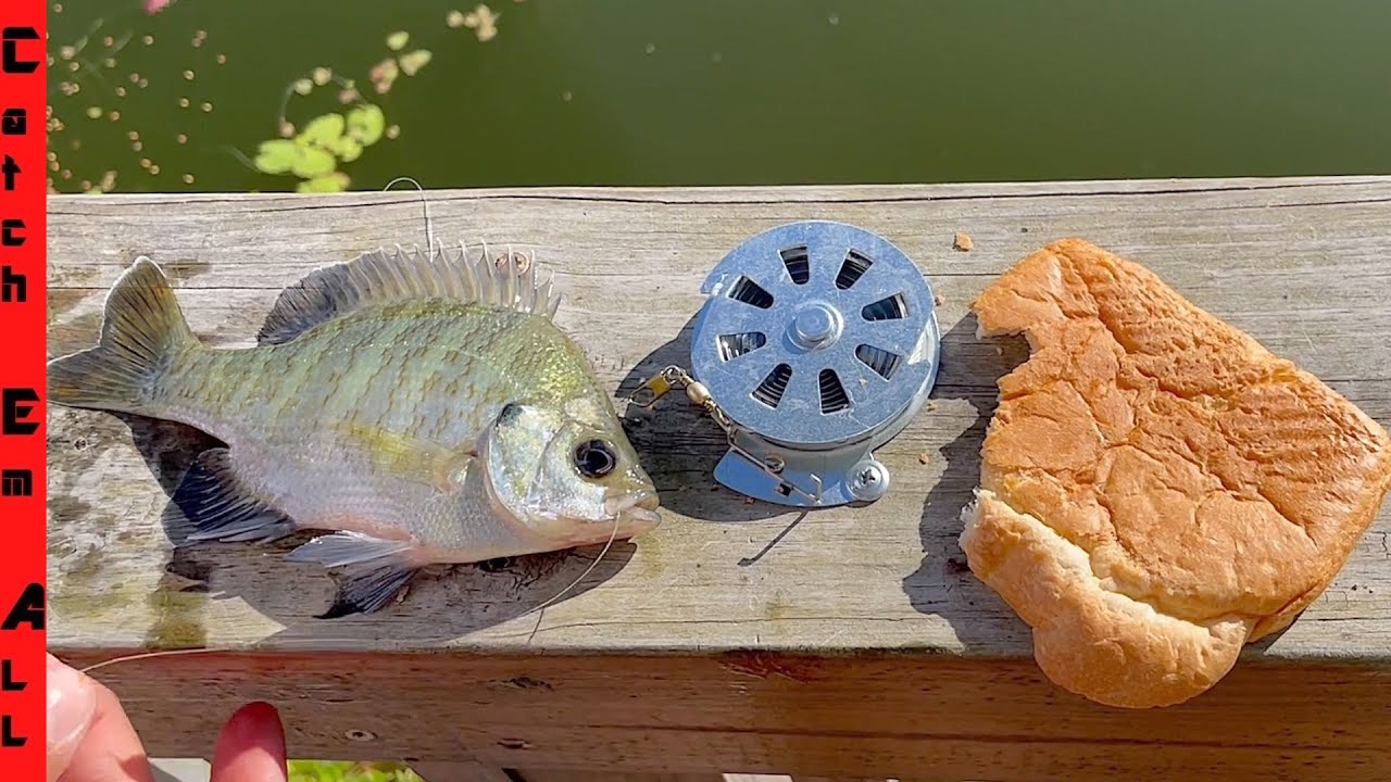 Genius no-battery fishing invention tested