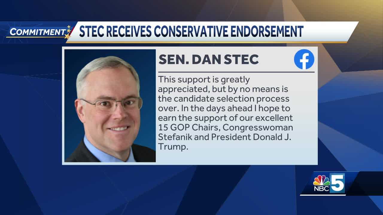 New York State Conservative Party endorses Sen. Dan Stec to take over ...