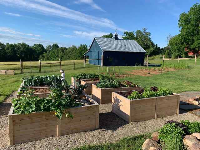 6 Budget-Friendly Things You Should Add to Fill Your Raised Garden Bed ...