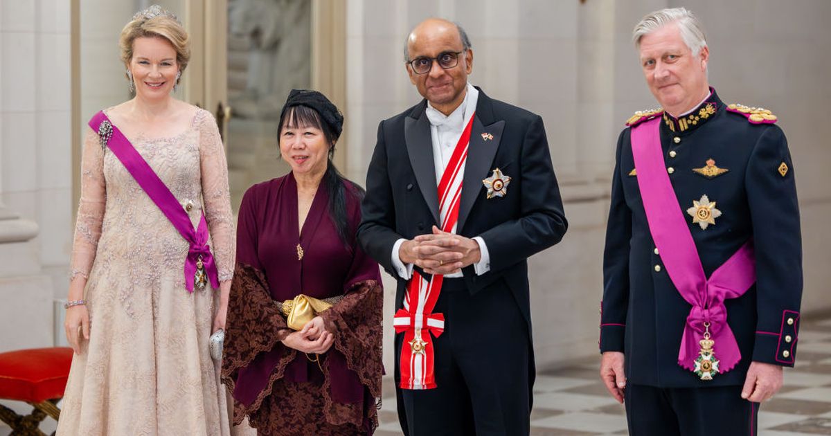 Wie im Disney-Film: Königin Mathilde in traumhafter Märchen-Robe