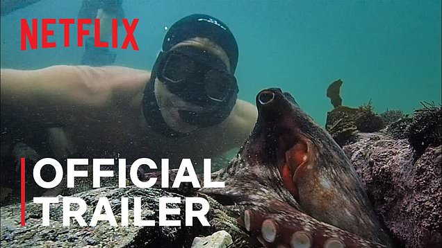 My Octopus Teacher Trailer (2020)