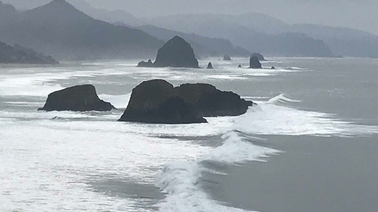 'Sneaker Waves' Are A Danger This Week Along The Northwest Coast. What ...