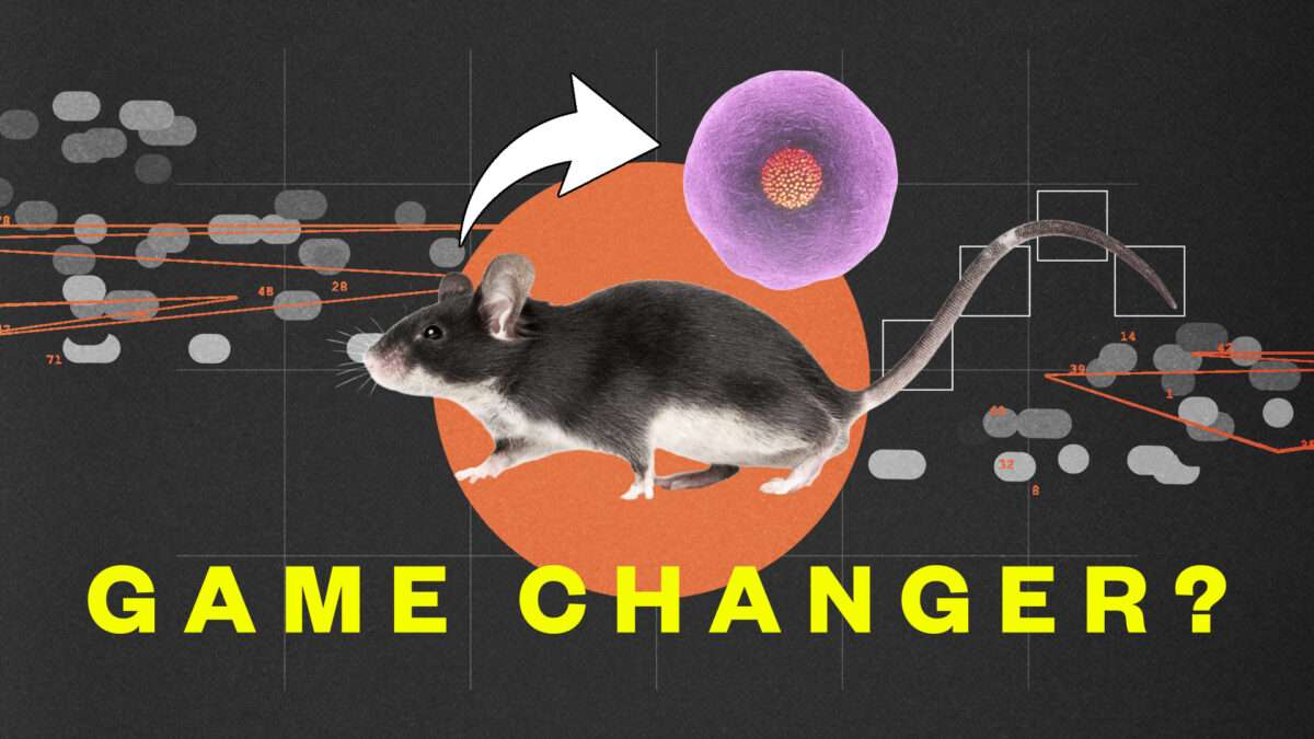 This Mouse Has Two Biological Dads?!