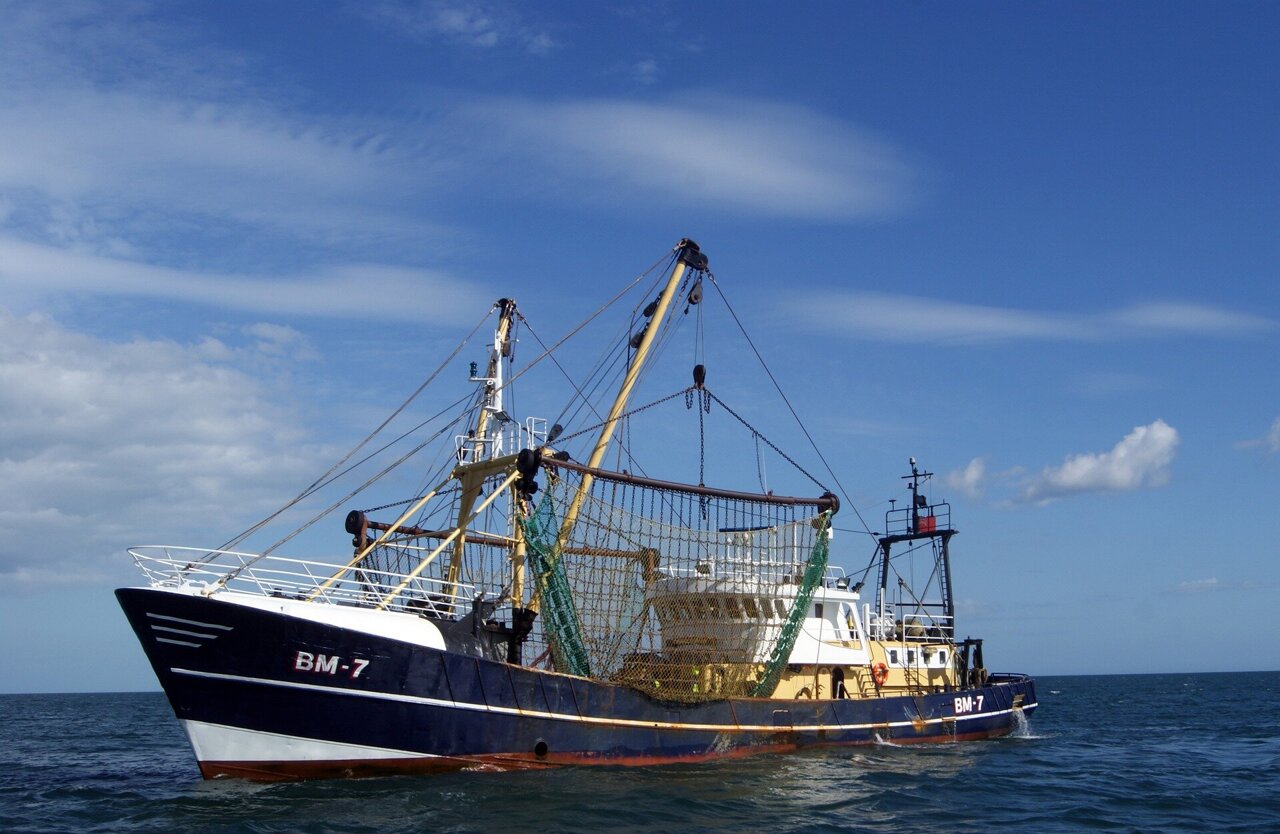 Climate cost of global trawling still uncertain