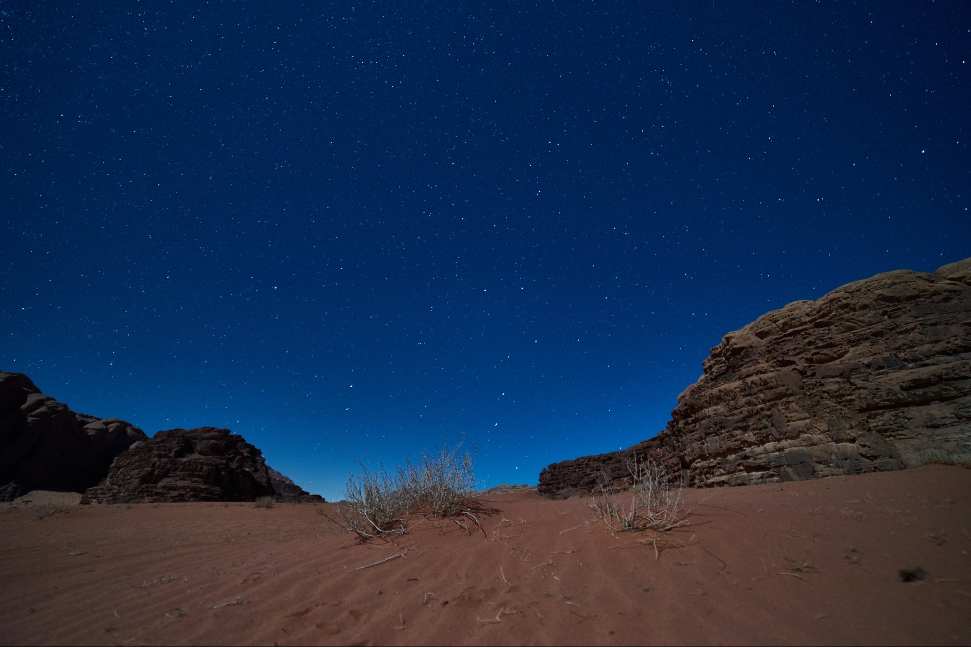 How a Night in the Jordanian Desert Taught Me a Business Lesson I'll ...