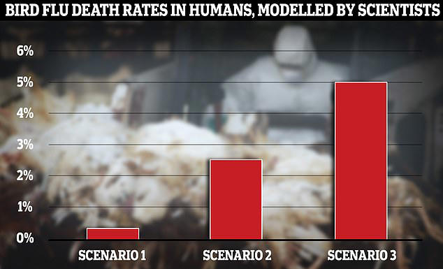 Bird flu could be 'next pandemic' - after alarming 'twist', officials