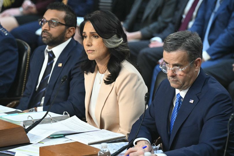 Tulsi Gabbard gets torn apart over war texts 'lies' and fumbles key ...