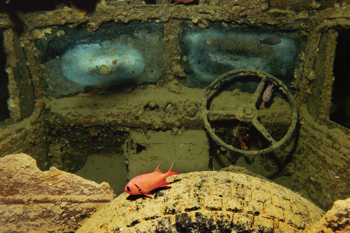 From Subway Cars to Sunken Jets: 7 of the Strangest Things Turned Into ...