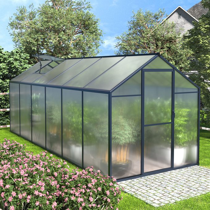 10 best greenhouse kits of 2026 to grow your home garden