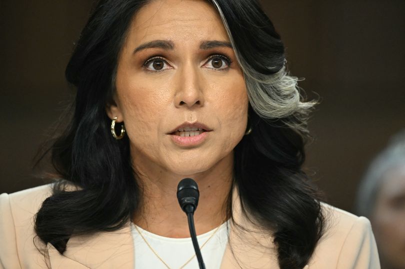 Tulsi Gabbard gets torn apart over war texts 'lies' and fumbles key ...