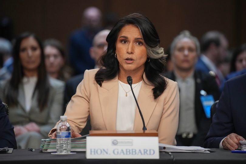 Tulsi Gabbard gets torn apart over war texts 'lies' and fumbles key ...