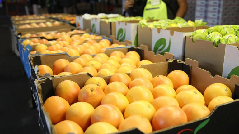 Flood-hit citrus regions face export losses as growers count cost of ...