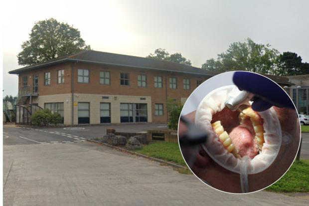 New NHS dental practices and appointment plans for Somerset