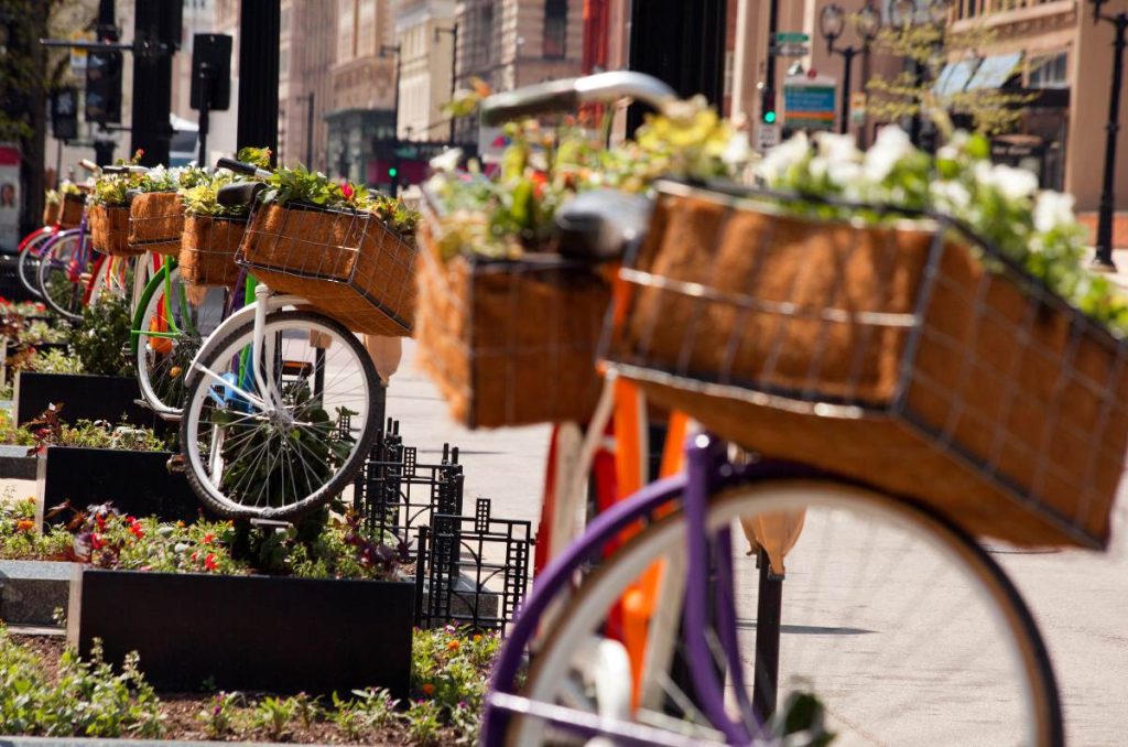 ¡Pedalea y Disfruta! Bicirodada Cultural: Rodada Juntos en Primavera