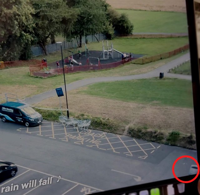 Phoebe and Her Unicorn by Dana Simpson