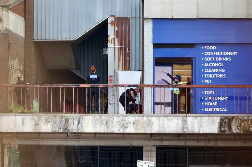 Man detained after B&M rooftop stand-off with police