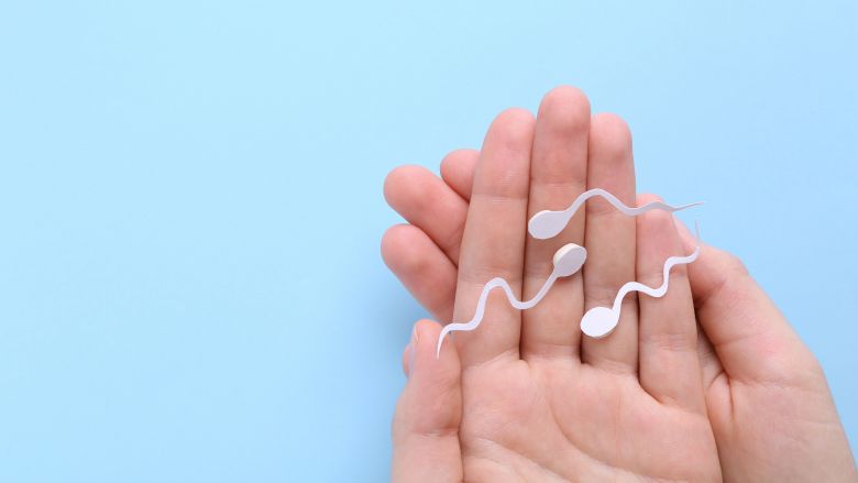 Kvalitu spermií neberte na lehkou váhu: Mnoho faktorů, které souvisí s ...