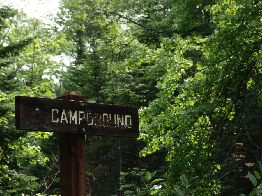 What are the new updates to temporary campground regulations in Virginia?