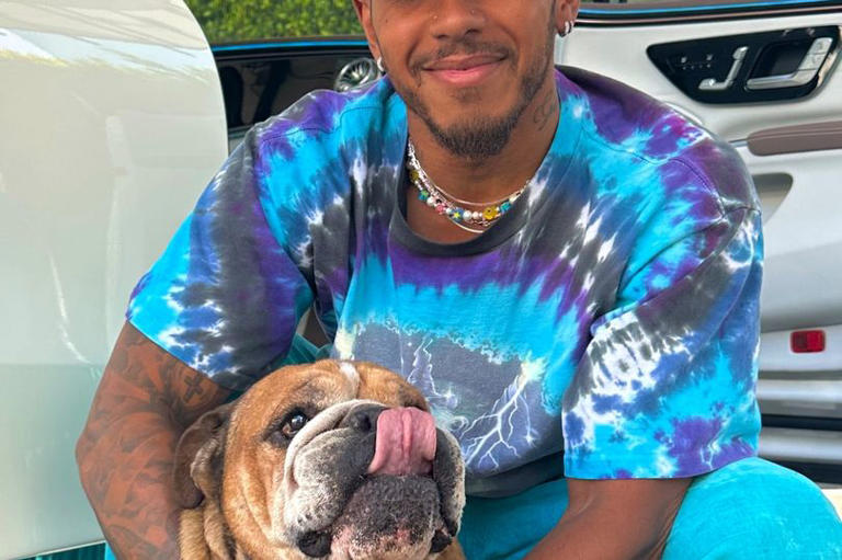 Lewis Hamilton's dog fighting serious illness as F1 star admits 'my ...