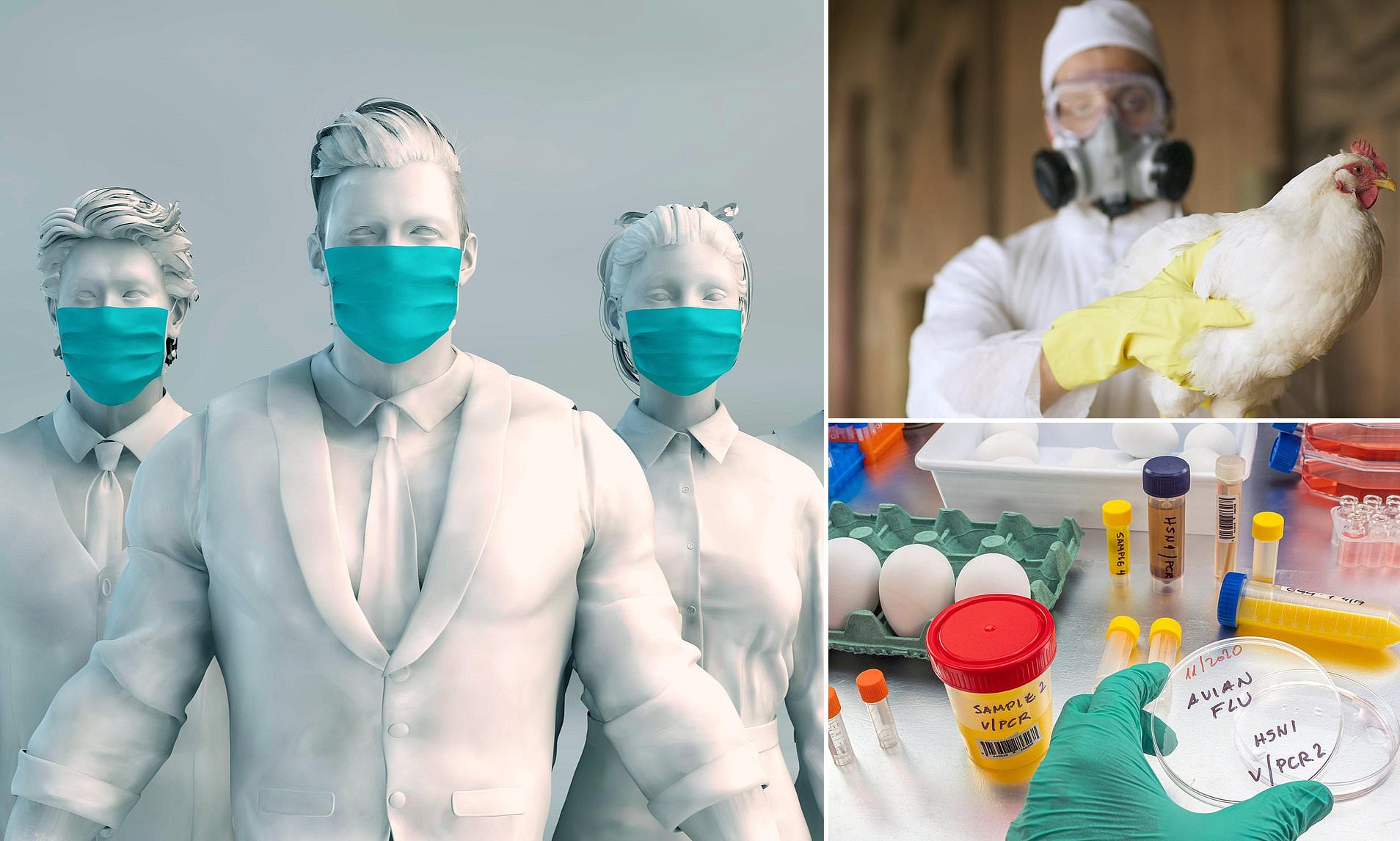 Bird flu could be 'next pandemic' - after alarming 'twist', officials