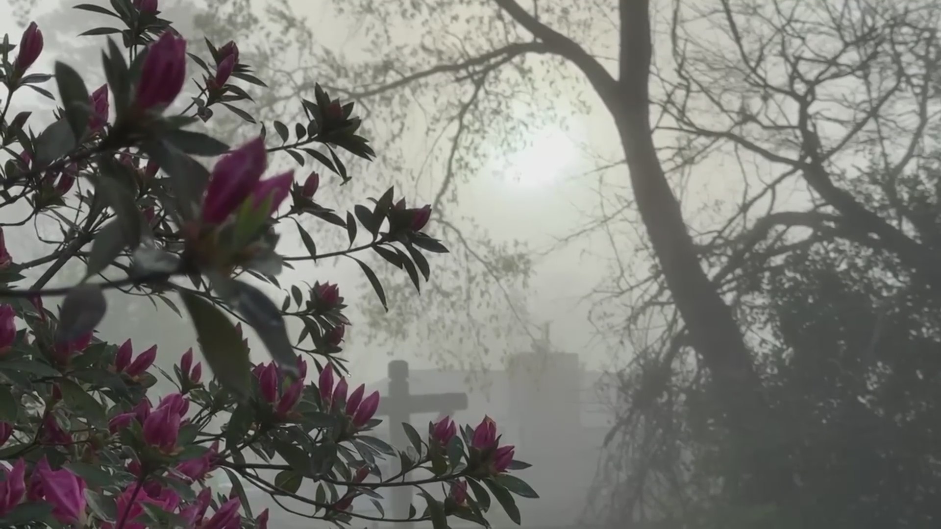 Tuesday Midday Weather Update