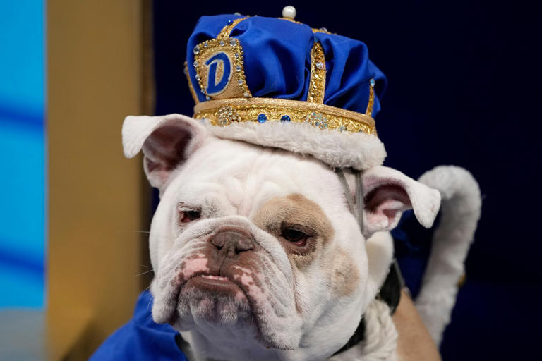 See the 30 finalists for Drake University’s Annual Beautiful Bulldog ...