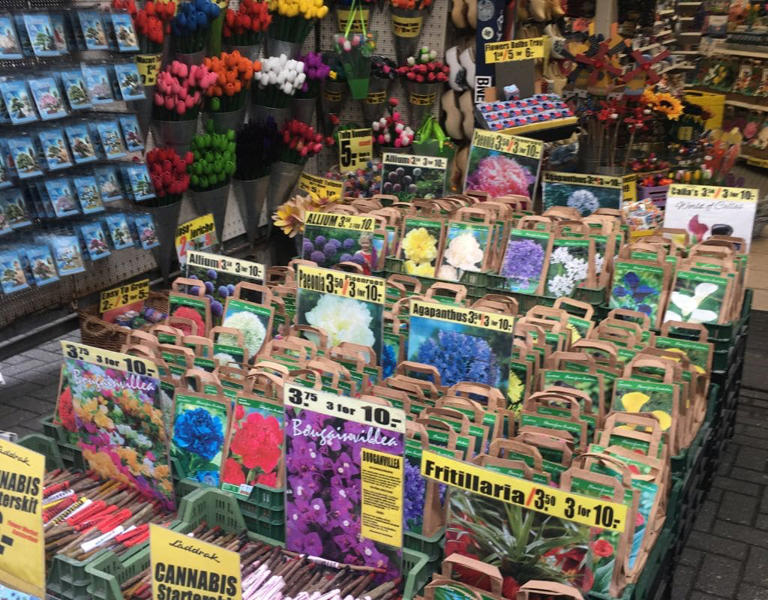 15 fun & interesting things to do in Amsterdam