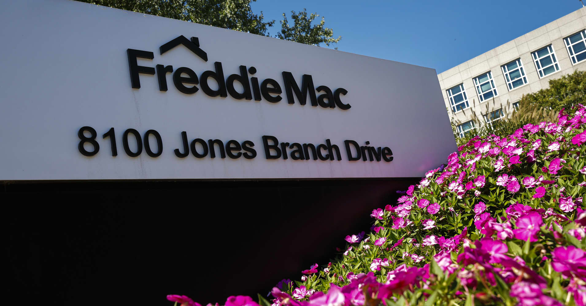 Federal housing agency will not cut Fannie Mae and Freddie Mac loan ...