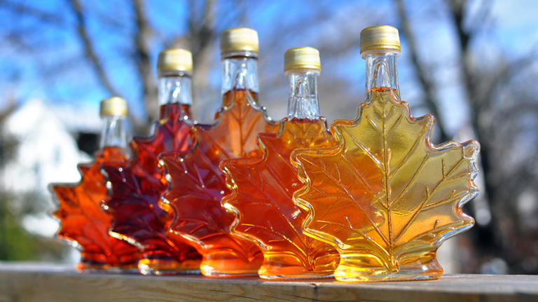 Golden Vs Dark Maple Syrup: What's The Difference?