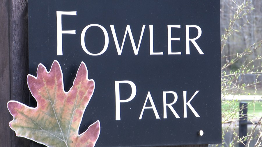 Championship-level disc golf course coming to Fowler Park