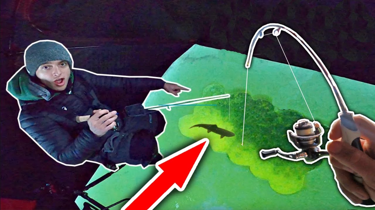 Crystal clear mountain lake hosts bucket list trophy fish