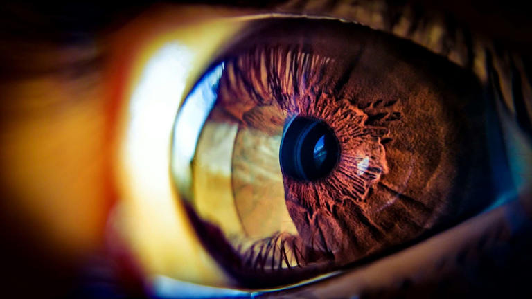Pupil function and disorders that affect it