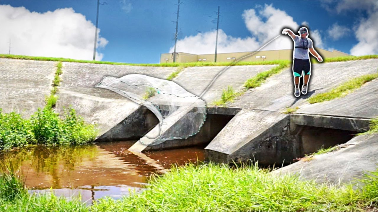 Strange catches emerge from an old urban storm drain
