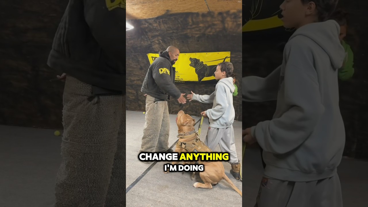 Dog learns to save his owner’s life through training
