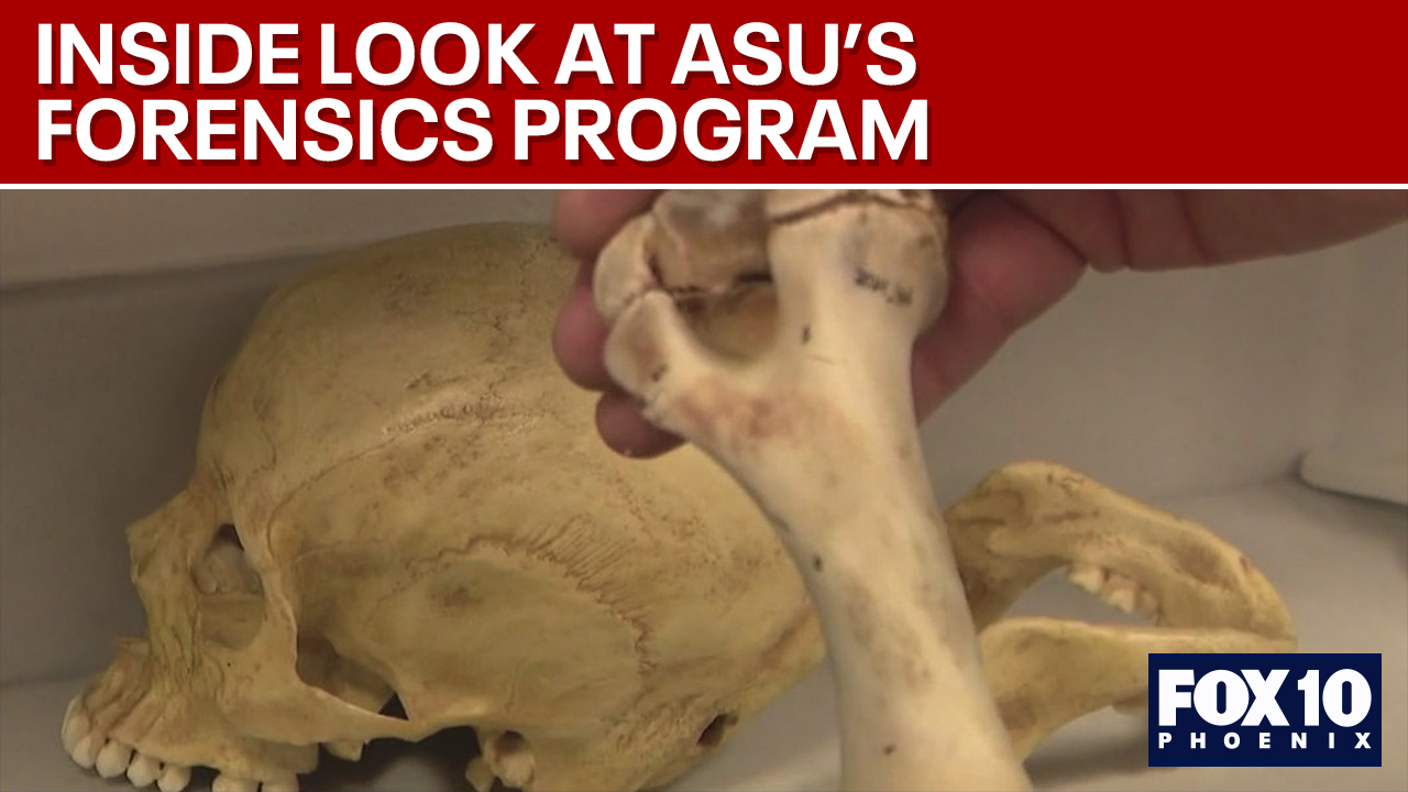 ASU's forensic program sees exceptional growth
