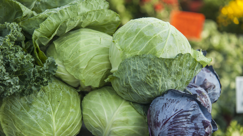 Amp Up Sad Cabbage And Start Making It Japanese-Style