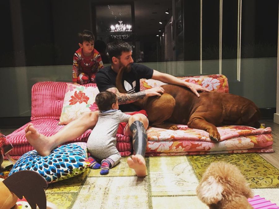 La tierna historia de Toby, el caniche de Lionel Messi y Antonela Roccuzzo