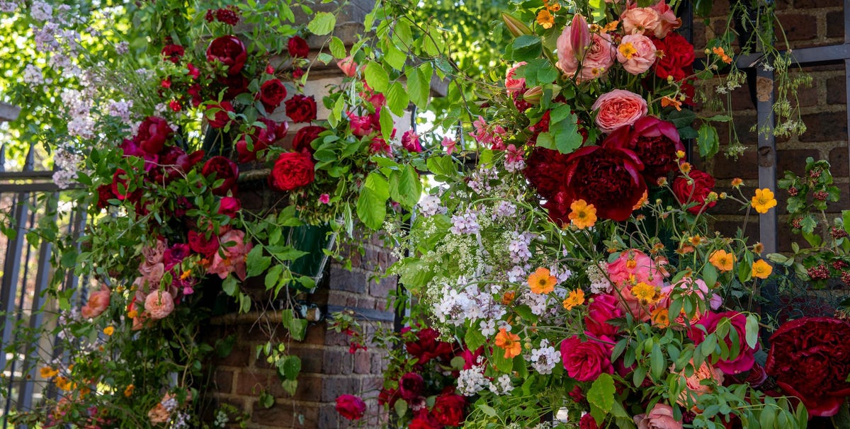When is Chelsea Flower Show 2025 and how to get tickets?