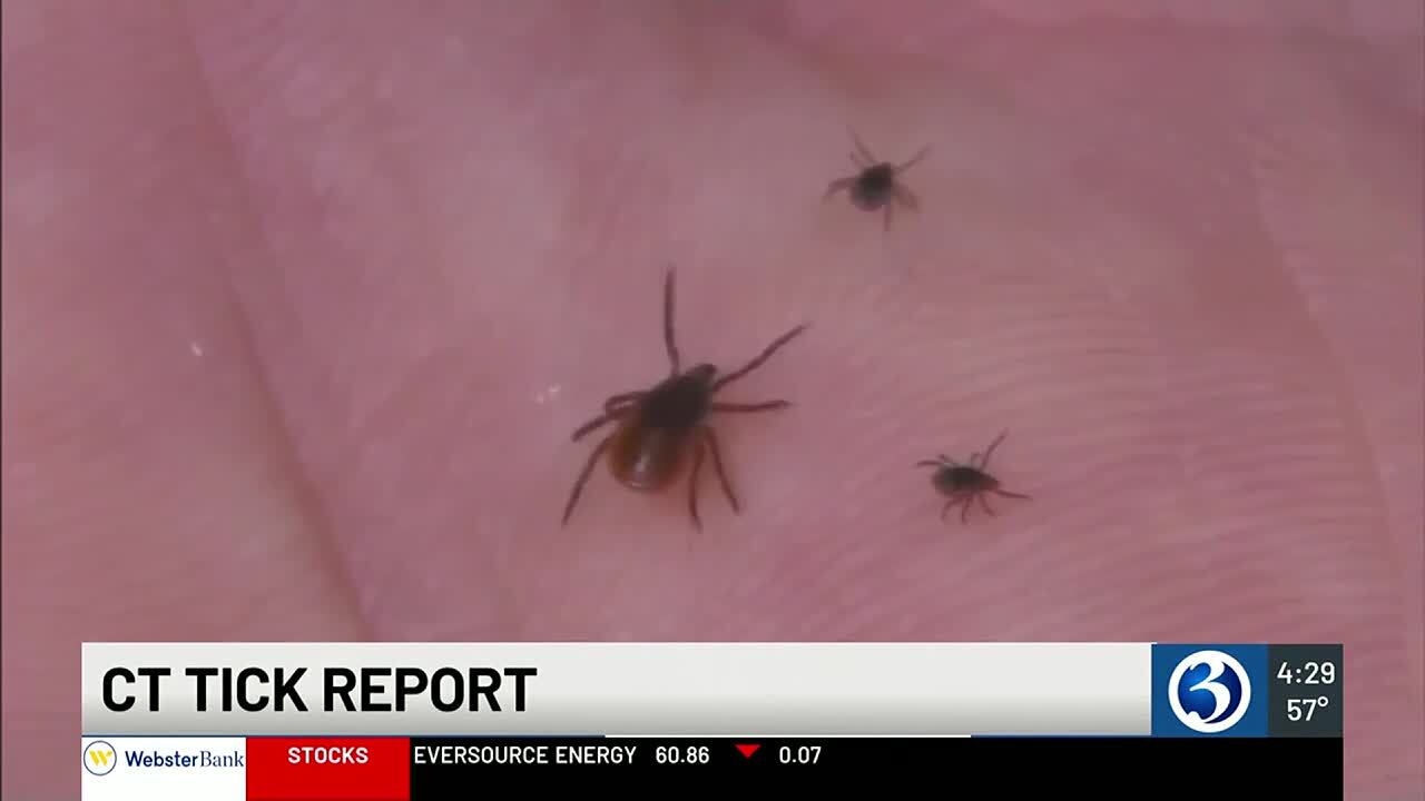 Report: Tick prevalence spreading across the state
