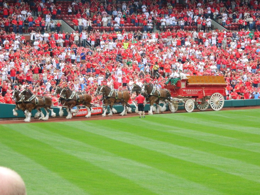 Join FOX 2 for the Cardinals Opening Day Pep Rally