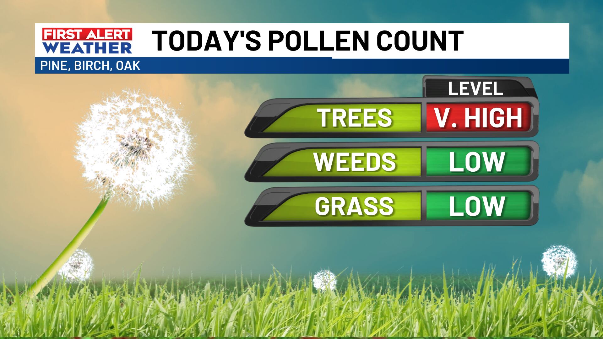 It’s pollen season in South Carolina