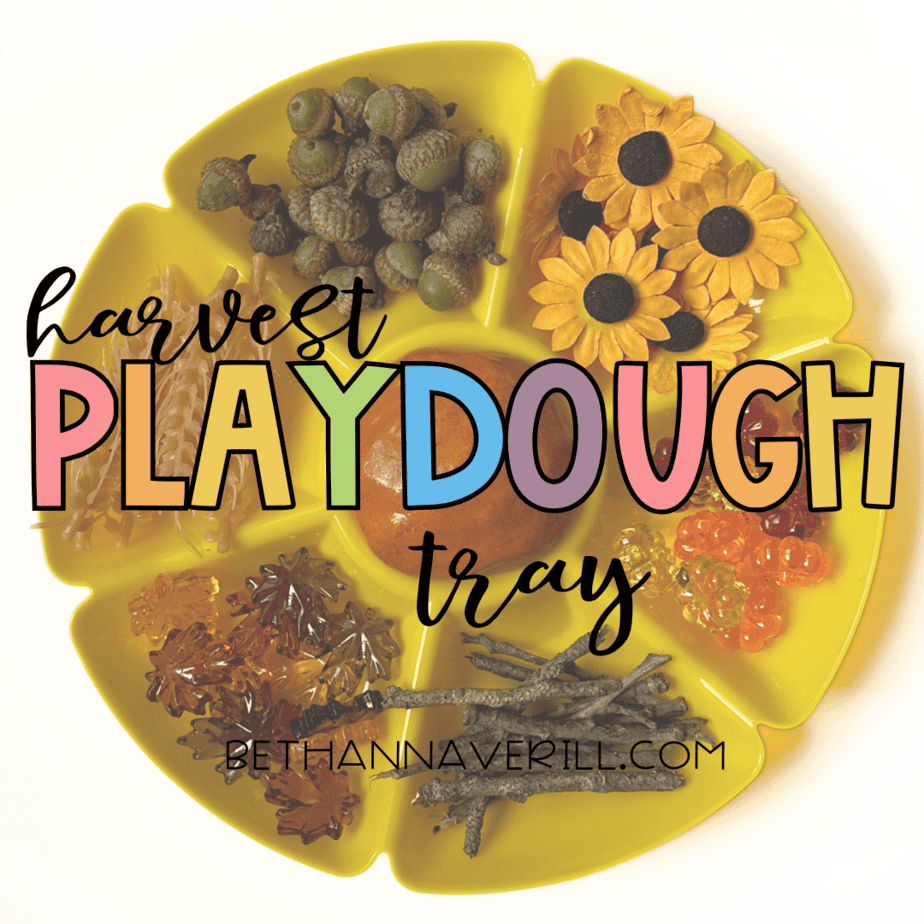 Harvest Playdough Tray