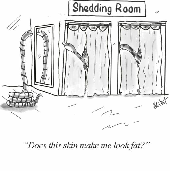 30 Delightfully Simple SIngle-Panel Comics From Hilarious Artist ...