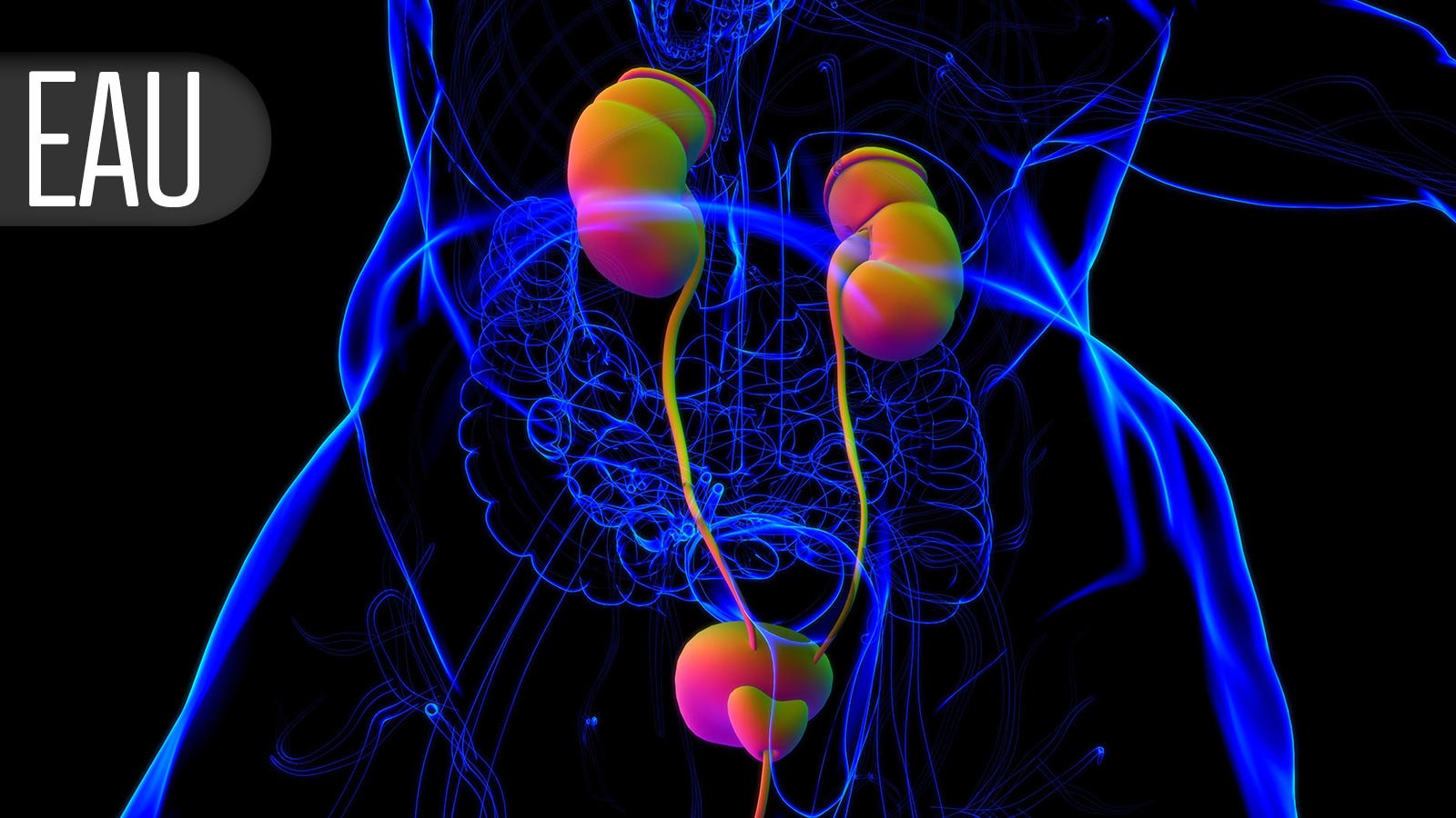 Routine Urodynamics Fails to Improve Overactive Bladder Beyond Clinical ...