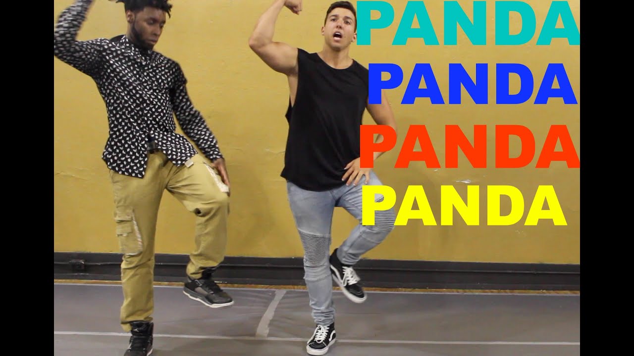 Panda Dance Tutorial - Choreography