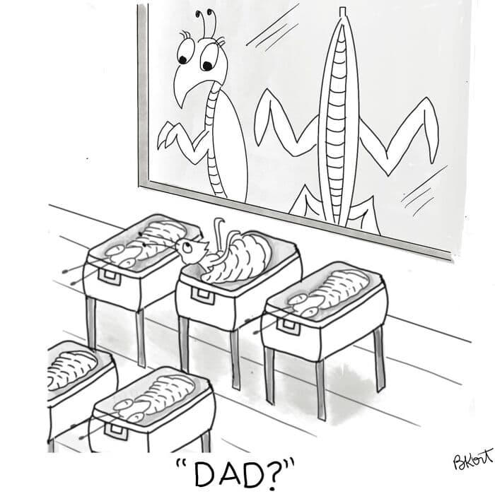 30 Delightfully Simple SIngle-Panel Comics From Hilarious Artist ...