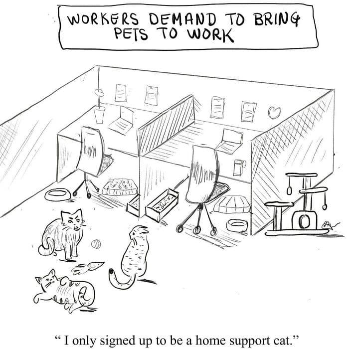 30 Delightfully Simple SIngle-Panel Comics From Hilarious Artist ...