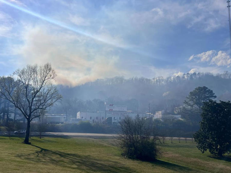 Small brush fire breaks out on Sharps Ridge in Knoxville