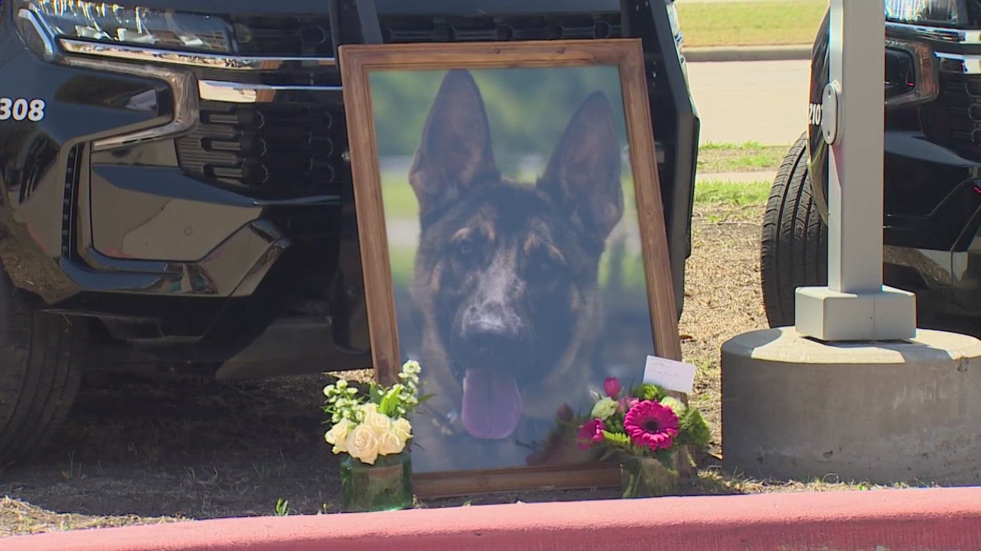 2-year-old McKinney Police K9 honored with funeral